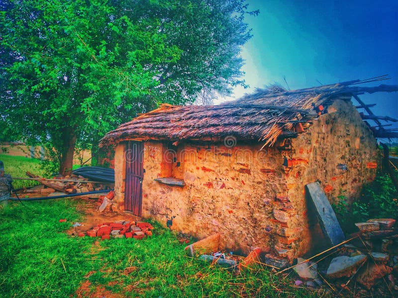 Old hut stock photo. Image of tree, flower, cottage - 187561578