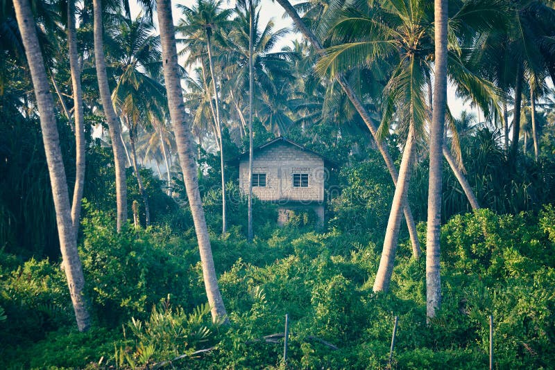 Old hut stock image. Image of landscape, palm, building - 105003227
