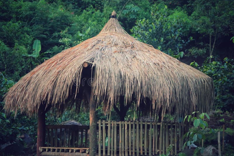 The Old Hut is in the Forest in South Bandung Stock Image - Image of ...