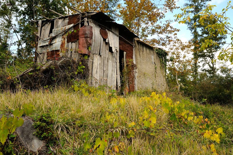 Old Hut in a Forest in Tuscany in Autumn Stock Image - Image of brown ...