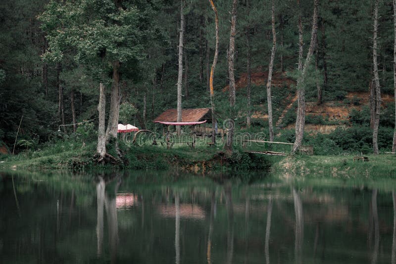 Old Hut between the Lake and the Trees Stock Photo - Image of classic ...