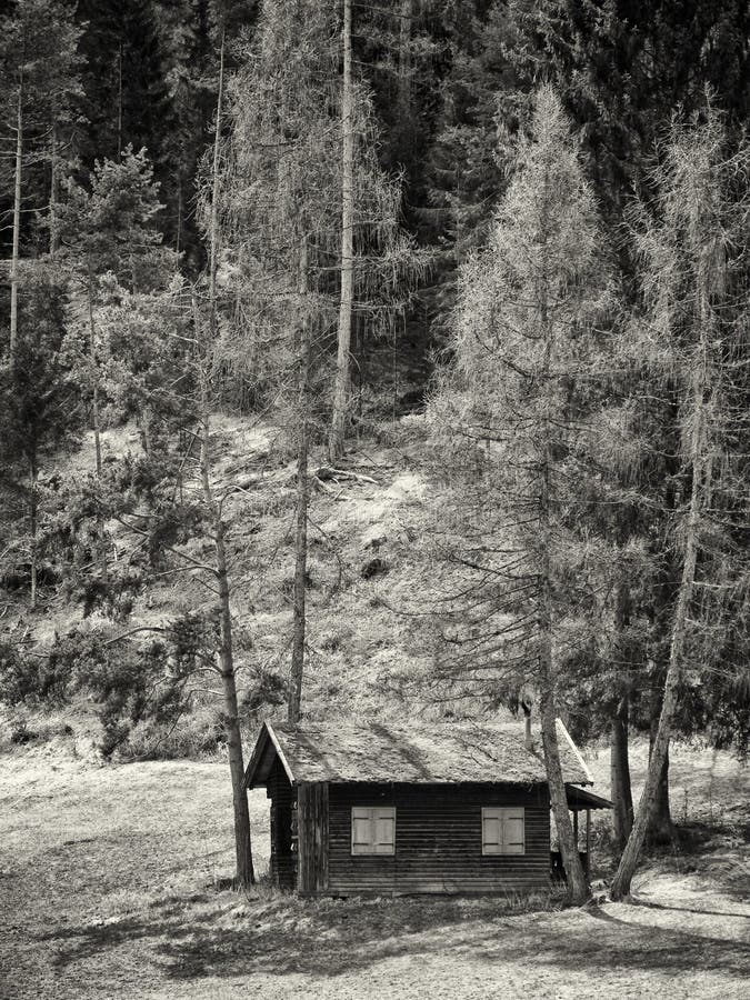 Old hut stock photo. Image of cabin, vertical, spring - 36402684