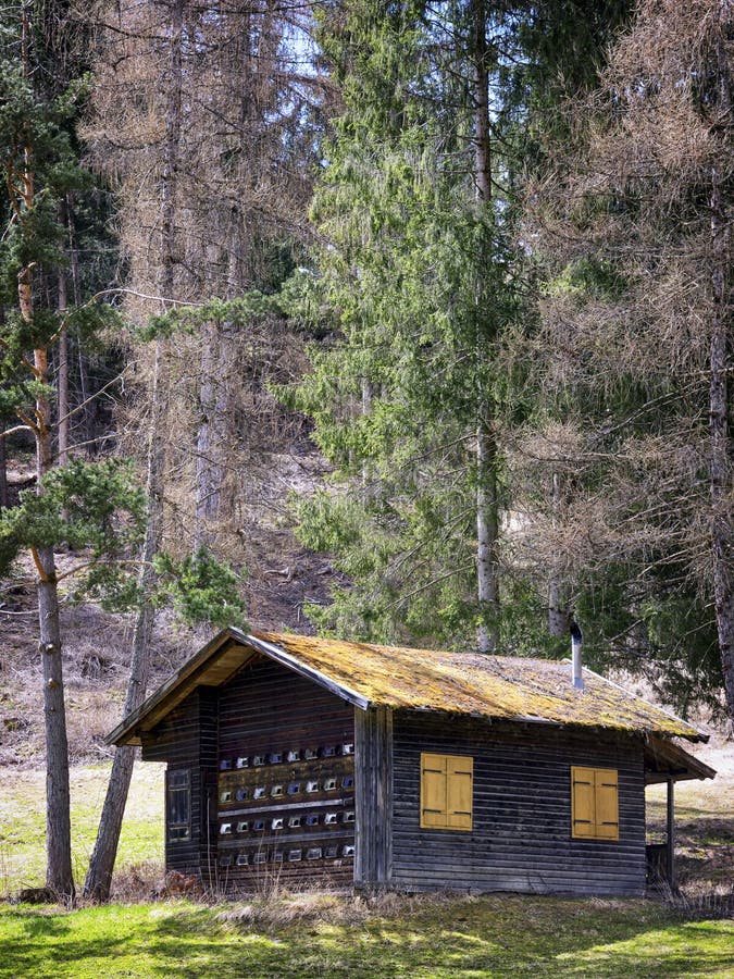 Old hut stock image. Image of sunlight, green, landscaped - 38960949