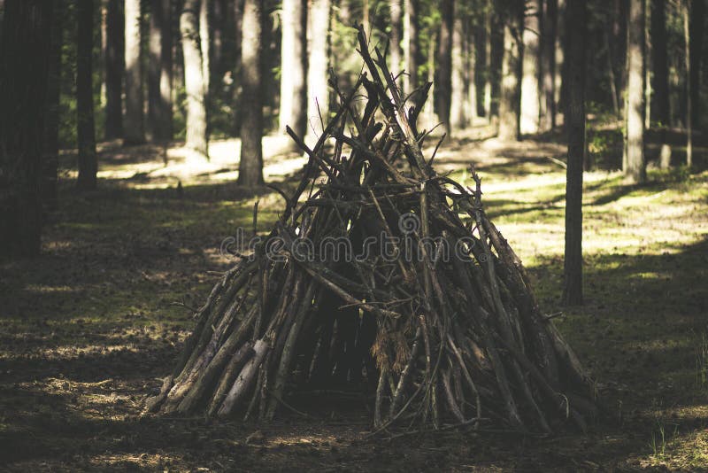 An Old Hut Made of Dry Pine Branches for Sleeping Stock Image - Image ...
