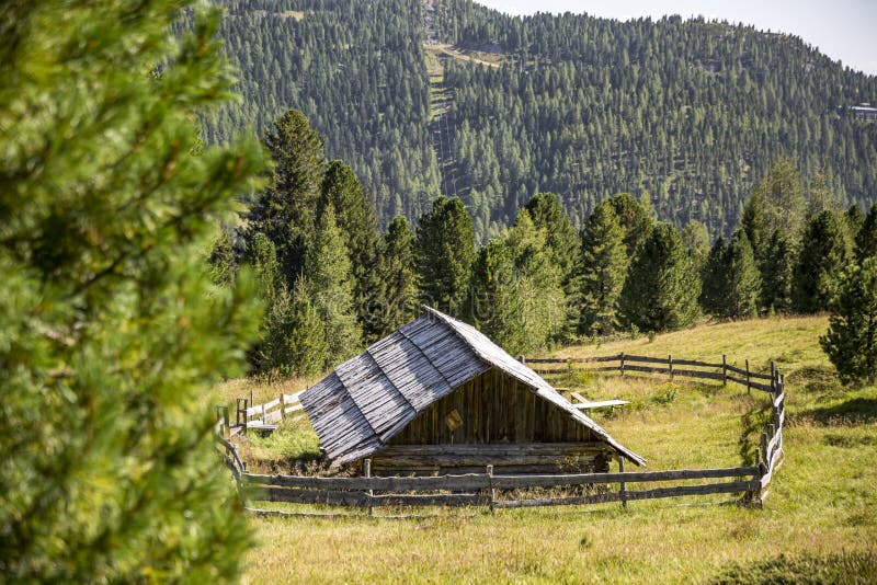 An Old Hut by the Mountain Forest. Wooden Hut in Mountains. Mountain ...