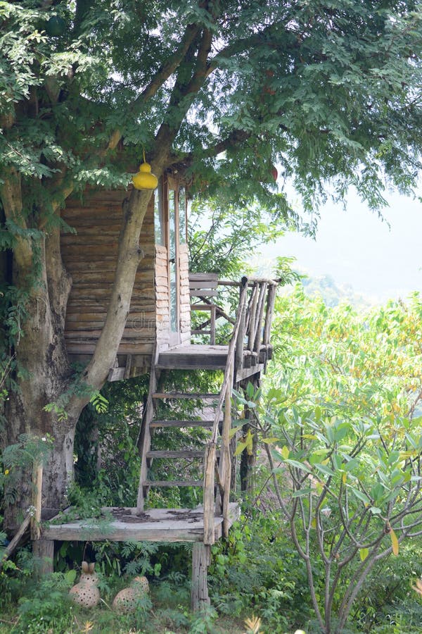 Old hut stock photo. Image of building, house, architecture - 45750888