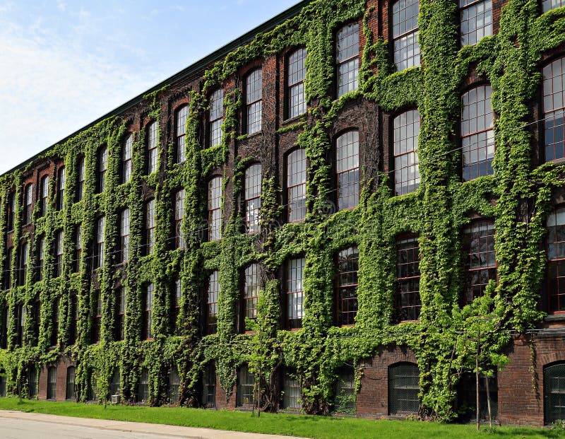 Old Industrial Building Covered in Ivy Stock Photo - Image of ...