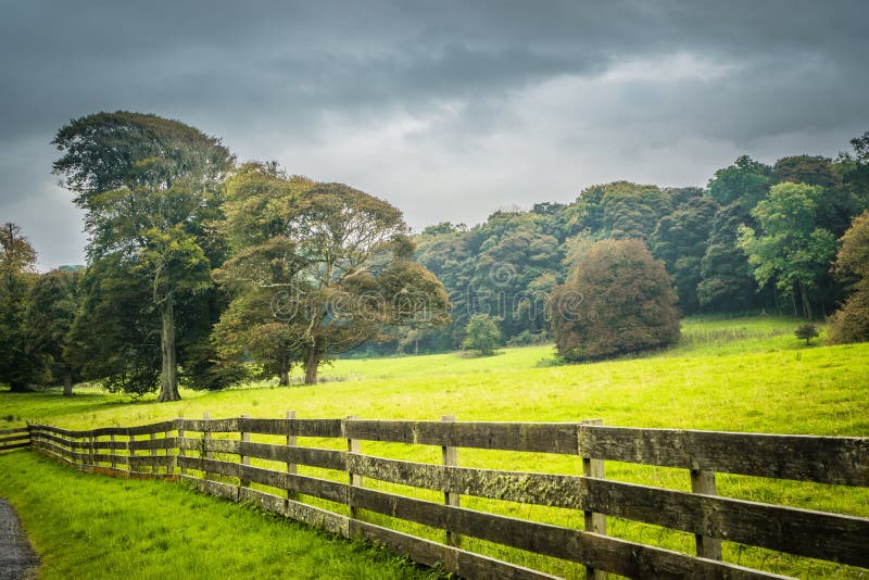 Old Irish fence stock photo. Image of green, ireland - 83408984
