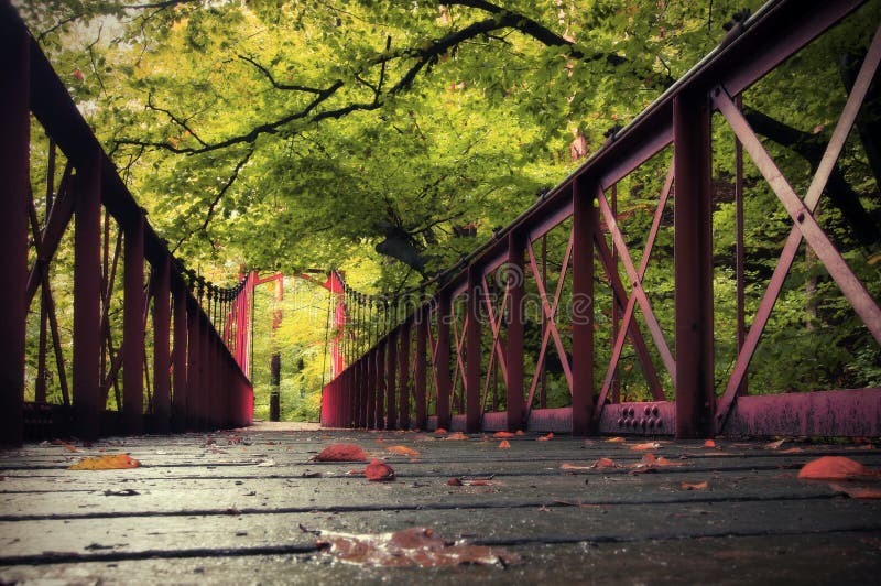 Forest. Old iron bridge stock photo. Image of magical - 62263554