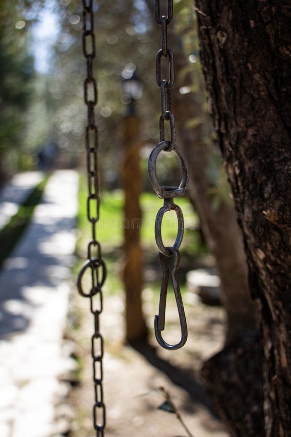 Old Iron Chain Hanging on a Tree in a Park. Old Rusty Chain Swing ...