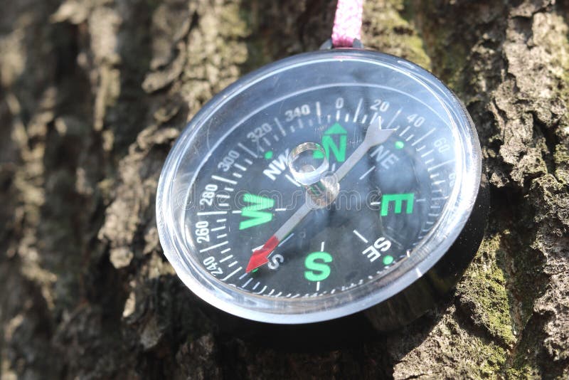 Old Iron Compass on Tree in Forest Stock Photo - Image of cobble, iron ...
