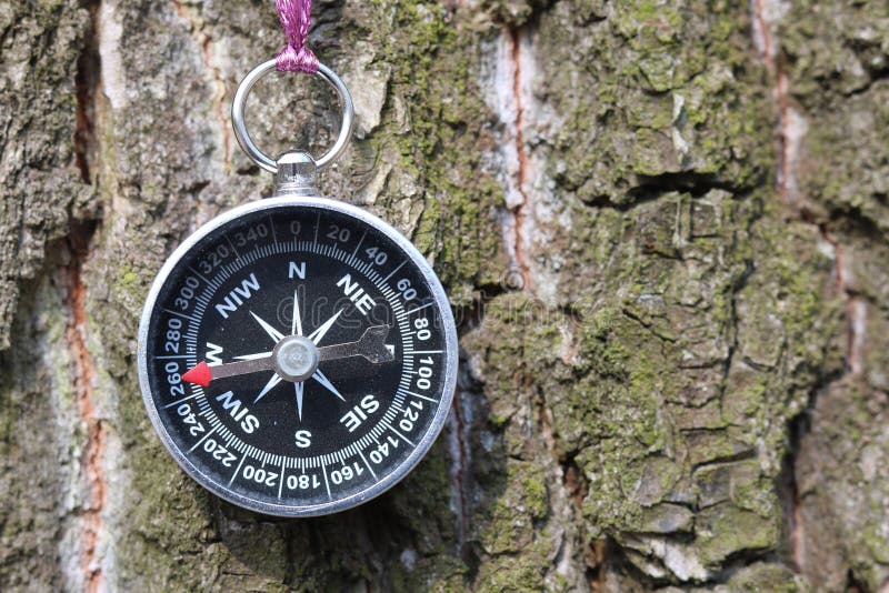 Old Iron Compass on Tree in Forest Stock Photo - Image of distance ...