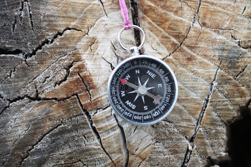 Old Compass on Tree in Forest Stock Photo - Image of latitude, hiking ...
