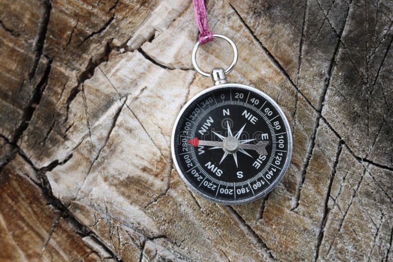 Old Compass on Tree in Forest Stock Image - Image of colorful, guidance ...