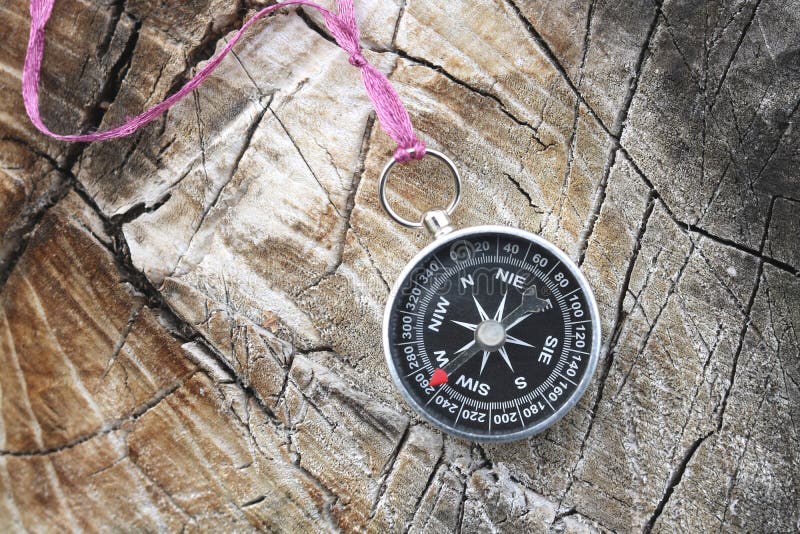 Old Compass on Tree in Forest Stock Photo - Image of forest, equipment ...