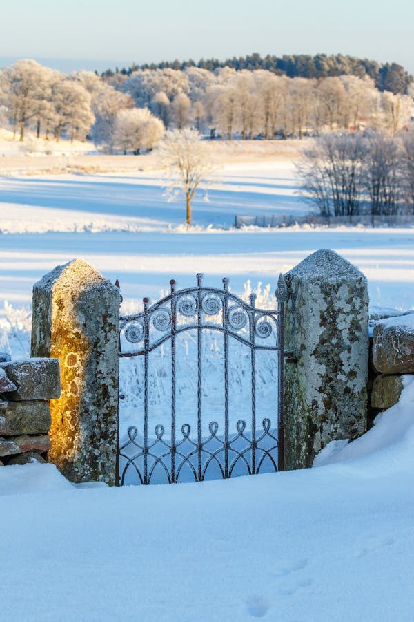 Old Iron Gate in a Snowy Winter Landscape Stock Photo - Image of view ...