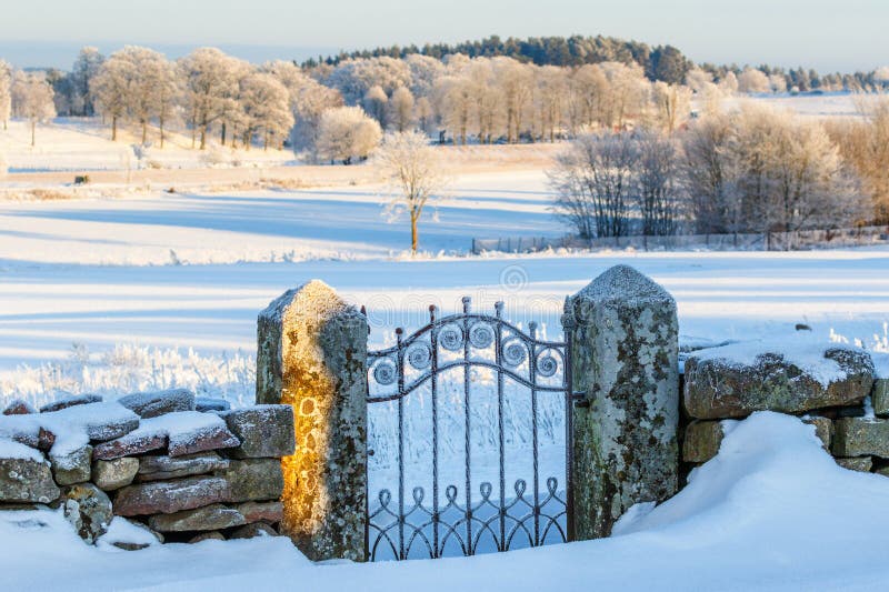 Old Iron Gate in a Snowy Winter Landscape in the Countryside Stock ...