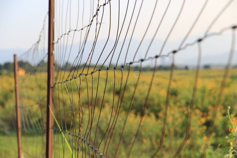 An Old Iron Mesh Fence Rusted in a Park Stock Photo - Image of design ...