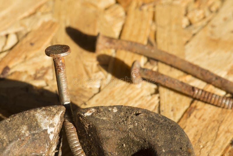Old Iron Nails. House Building Tools Stock Photo - Image of instrument ...