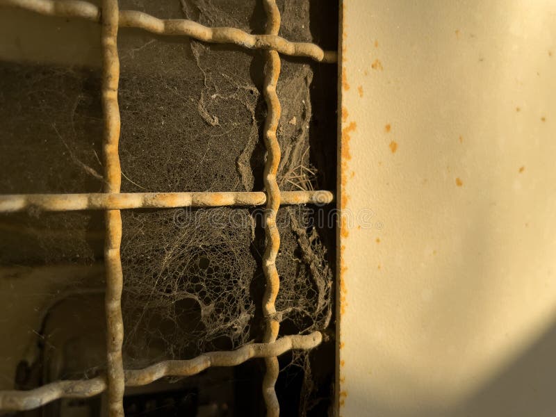 The Old Iron Net Was Full of Spider Webs. Stock Photo - Image of glass ...