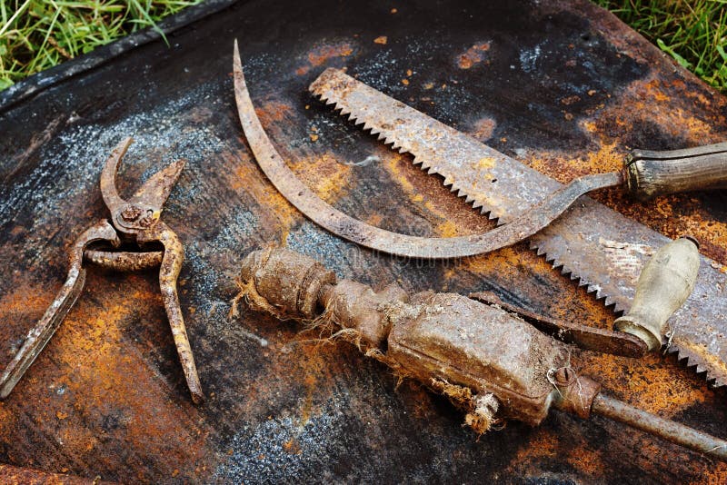 Rusty Tools on the Rusty Sheet Stock Photo - Image of rusty, pruner ...