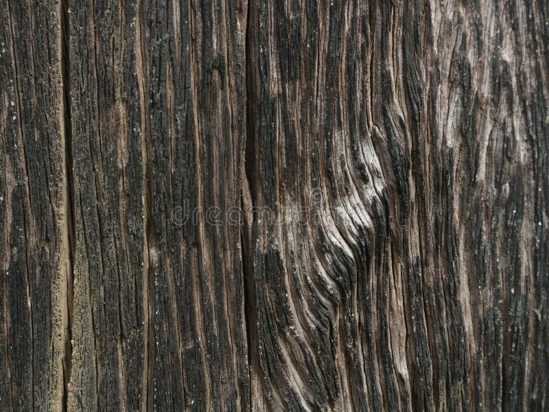 247 Ironwood Texture Stock Photos - Free & Royalty-Free Stock Photos ...