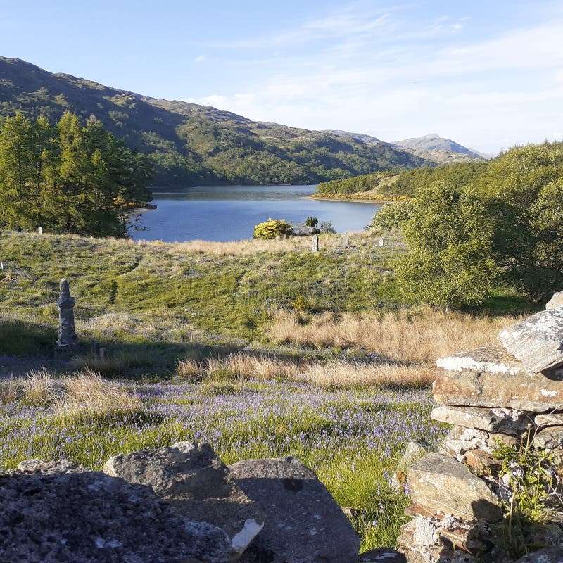 An old island graveyard stock image. Image of island - 234811863