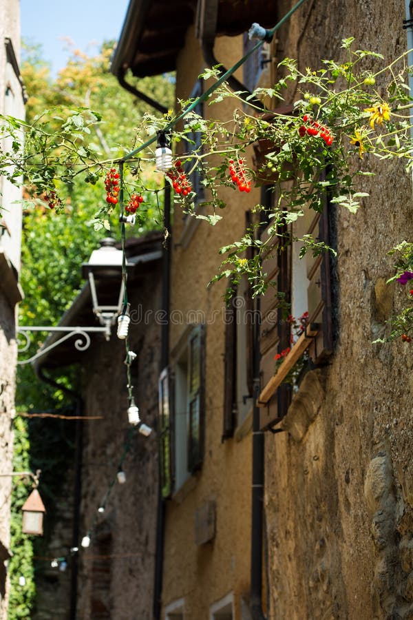 Old italian streets stock photo. Image of cityscape, colorful - 81163168