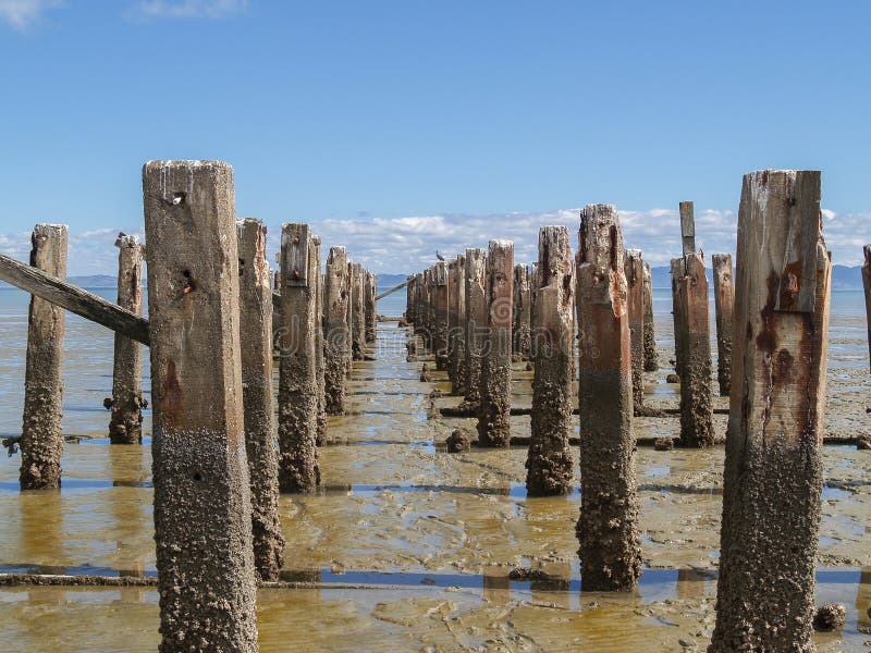 Old Jetty Posts Weathered and Worn on Taruru Beach with Hall Defocused ...