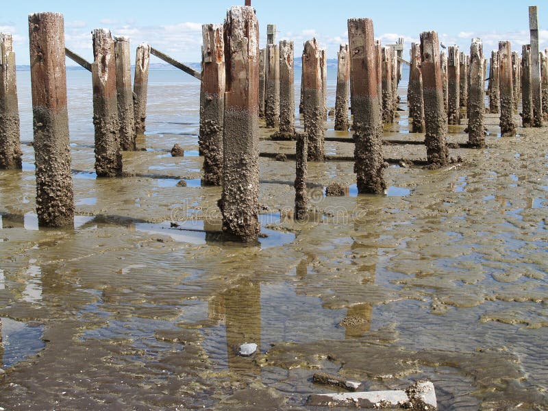 Old Weathered Jetty Posts Standing in Row on Beach Casting Shadow on ...