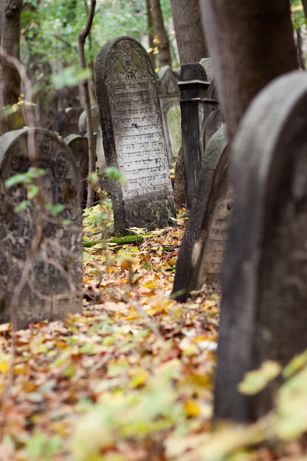 Old Cemetery stock image. Image of element, tombstone - 8011181