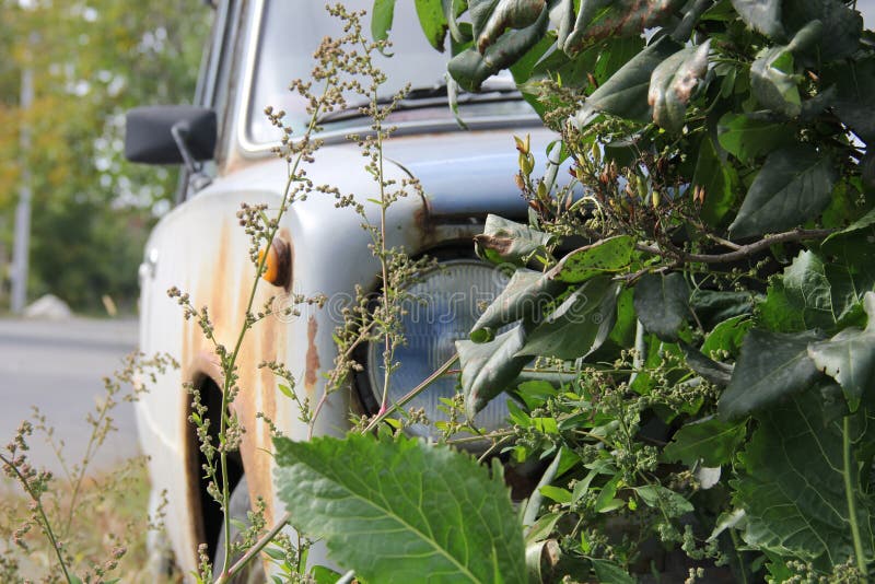 Old Junky Rusty Abandoned Car Sitting in the Bush Stock Photo - Image ...