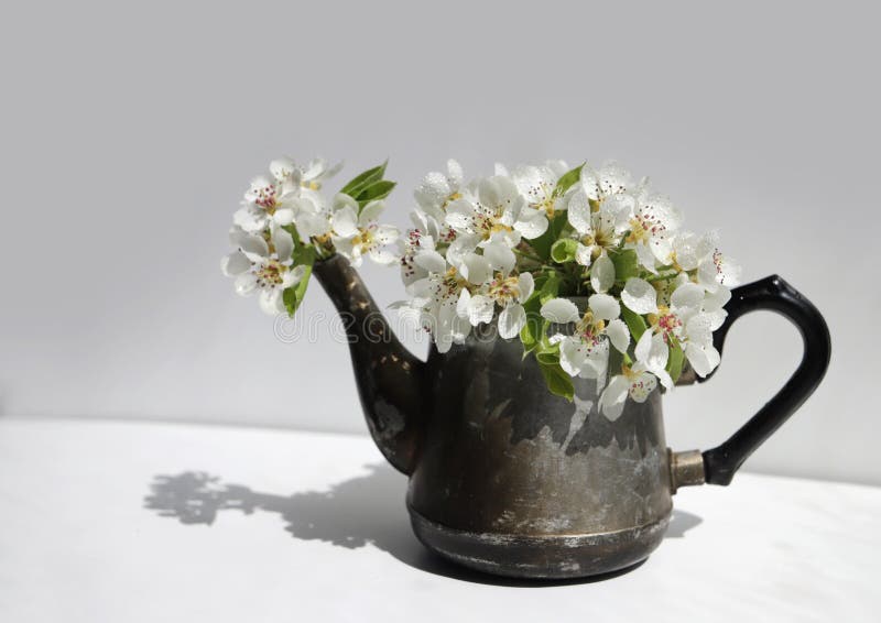 Old Kettle Decorated with Fresh Flowers Stock Image - Image of ...