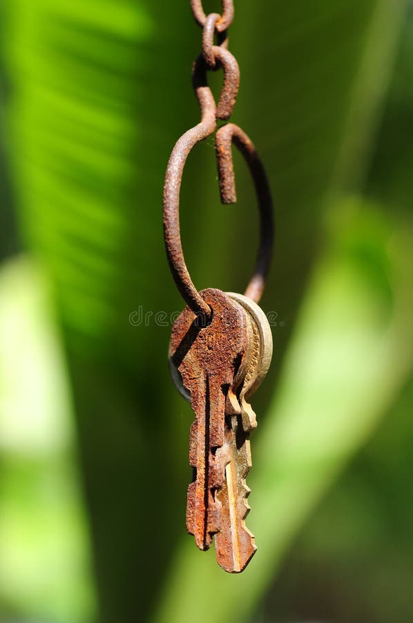 Old key stock image. Image of magic, bunch, money, start - 5182971