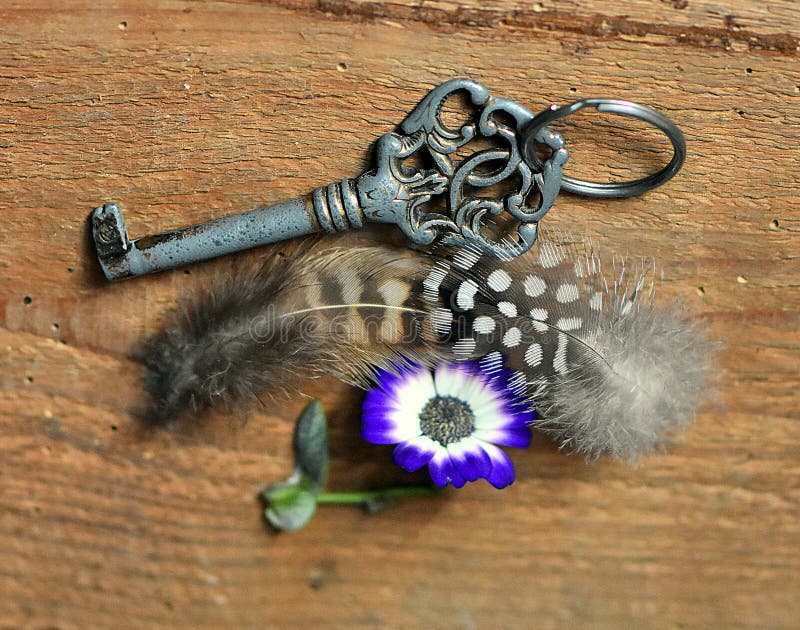 Old Key, Flower and Feather Stock Photo - Image of nice, beautiful ...