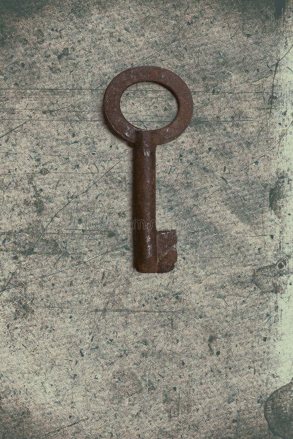 Skeleton Overlay Photos - Free & Royalty-Free Stock Photos from Dreamstime