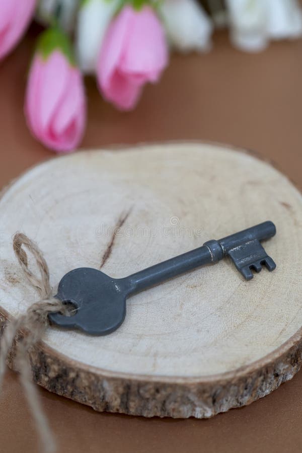 An Old Key is on a Piece of Wood Stock Image - Image of rope, brown ...