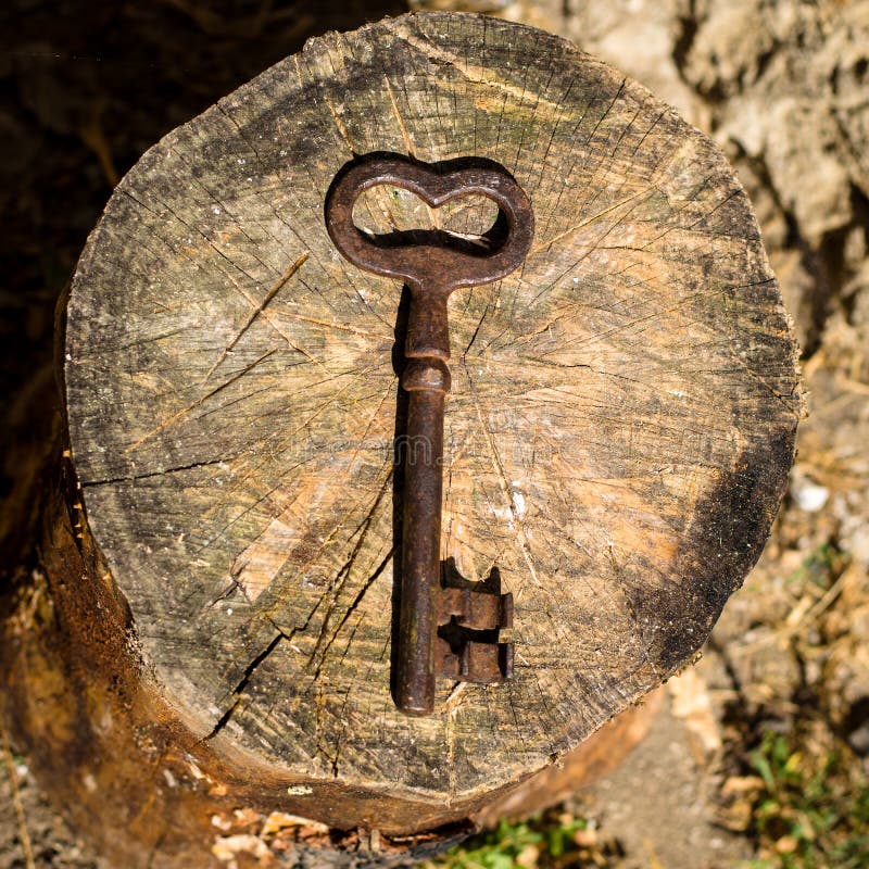 Old key symbol stock image. Image of lock, rust, metallic - 59558679