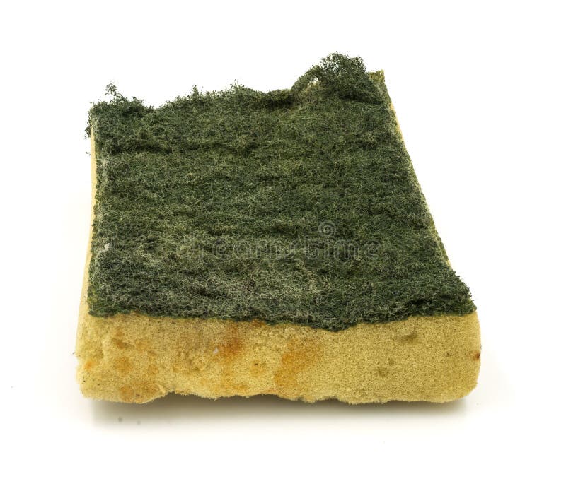 Old Kitchen Sponge on White Background. Stock Photo - Image of kitchen ...