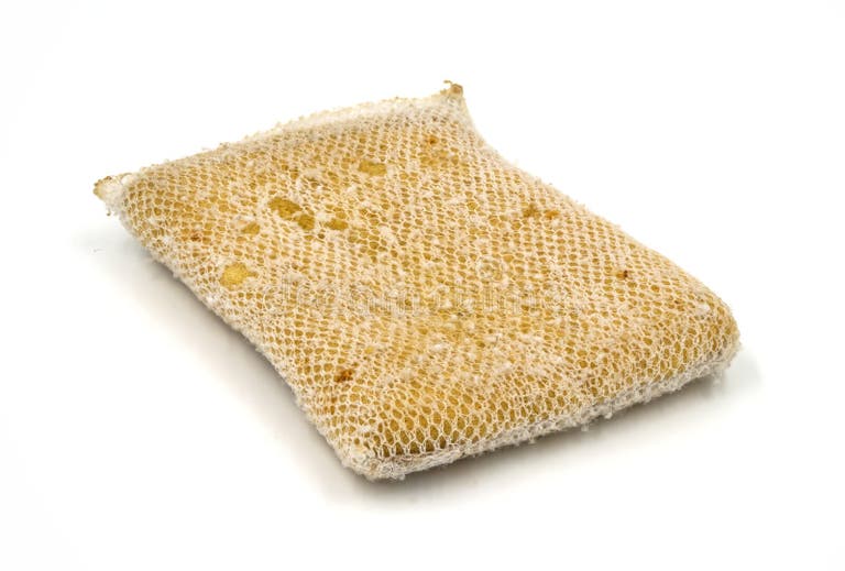 Old Kitchen Sponge on White Background. Stock Image - Image of ...