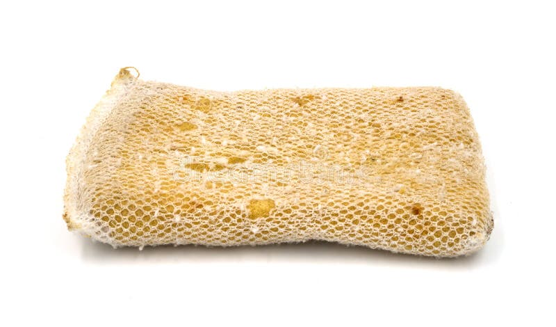 Old Kitchen Sponge on White Background. Stock Photo - Image of sponge ...