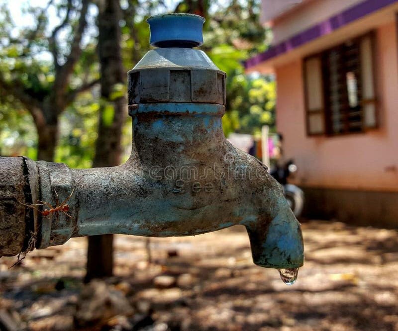 318 Knock Wood Tree Stock Photos - Free & Royalty-Free Stock Photos ...