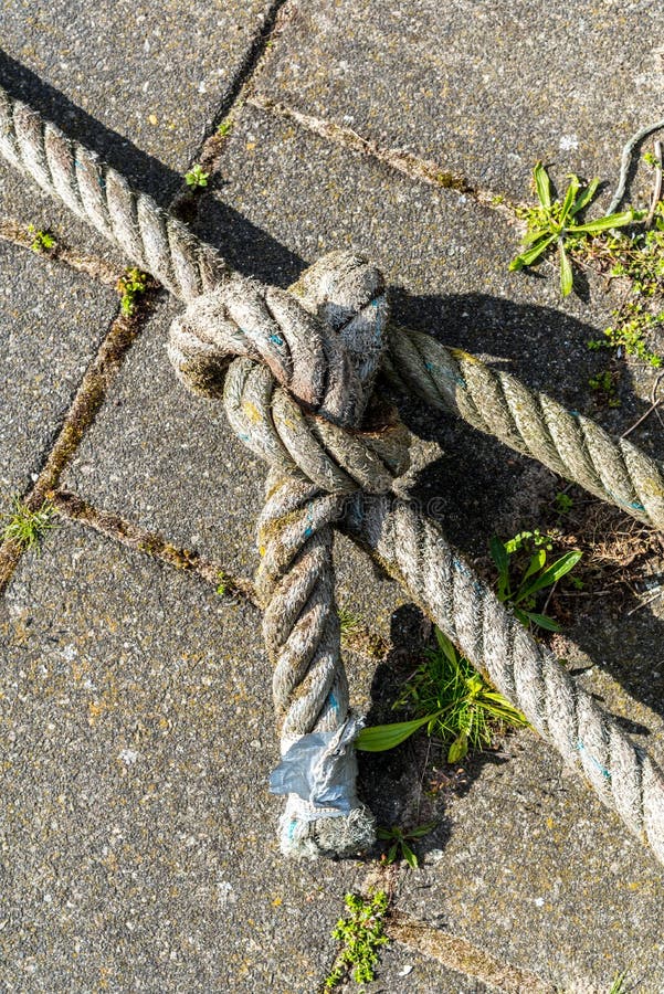 Knotted rope stock image. Image of knot, complicated - 25739617