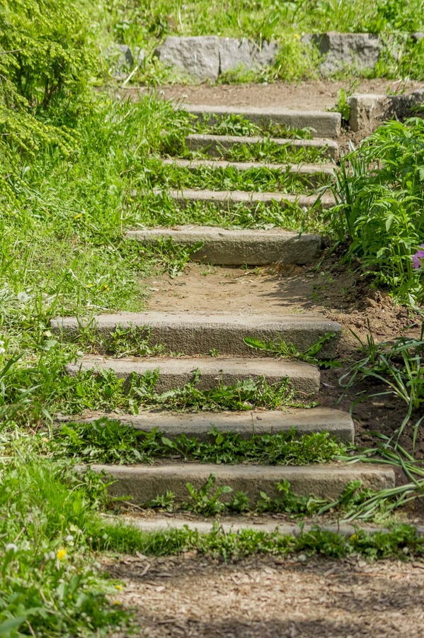 Ladder in park stock image. Image of nature, adventure - 28761513