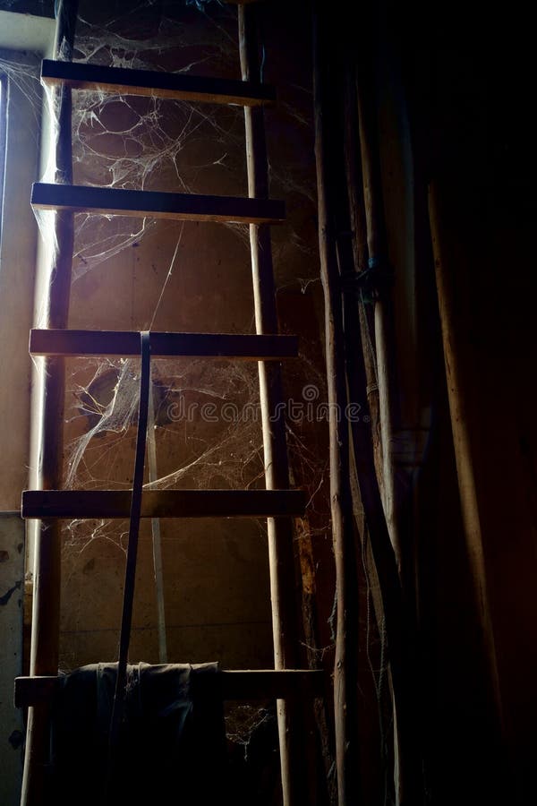 Old Ladder and Tools Full of Web Spider Stock Image - Image of flour ...