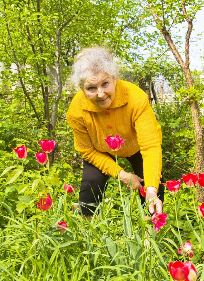Old Lady in the Garden with Tulips Stock Photo - Image of tulip ...