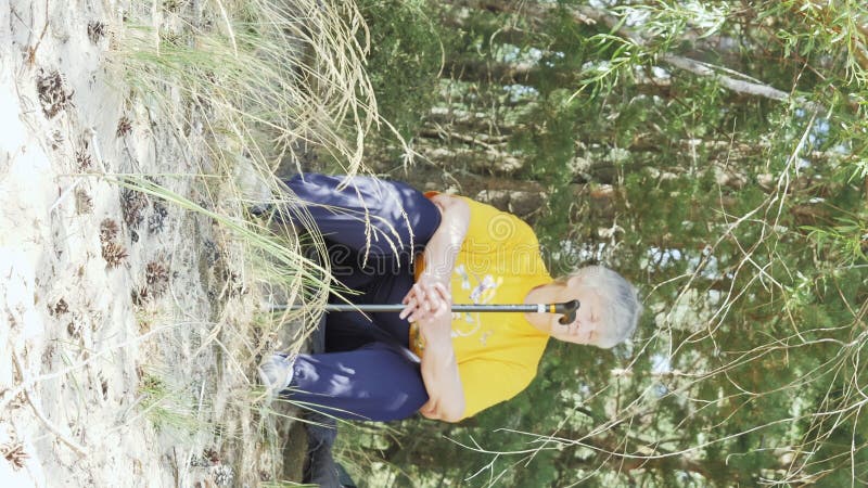 The Old Lady with the Walking Stick Infront of Her. Vertical Format ...