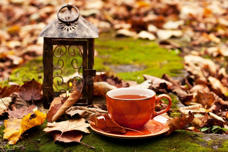 Old Lantern and Cup of Tea on Fall Leaves Background. Autumn Concept ...