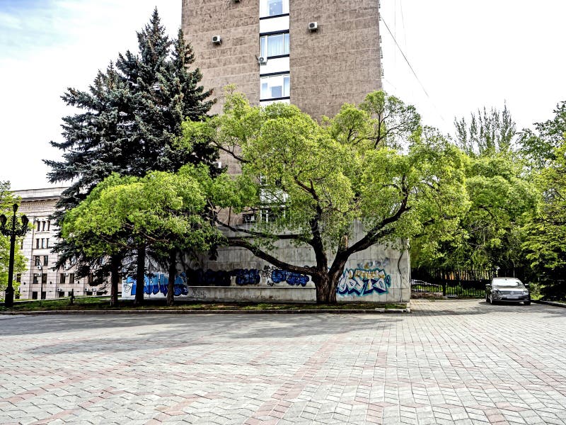Old Large Spreading Tree Near the Building Stock Image - Image of trees ...