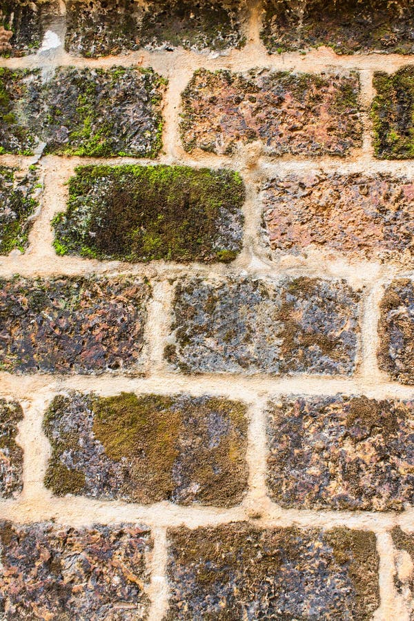 Laterite Stone Texture